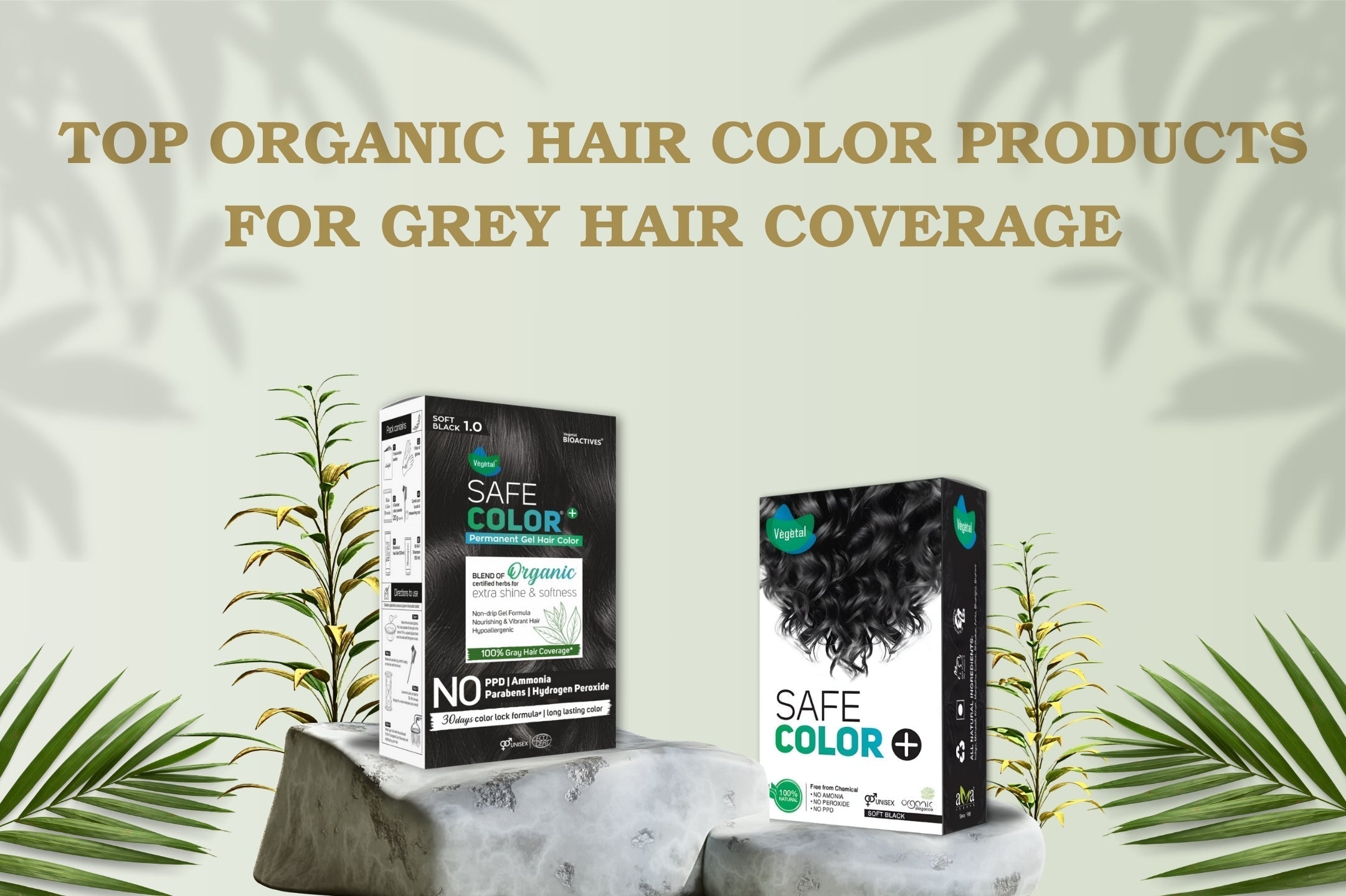 Top Organic Hair Color Products For Grey Hair Coverage - Vegetal Shop